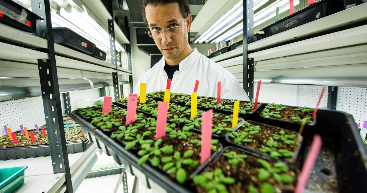 How to apply to doctoral programmes | University of Helsinki