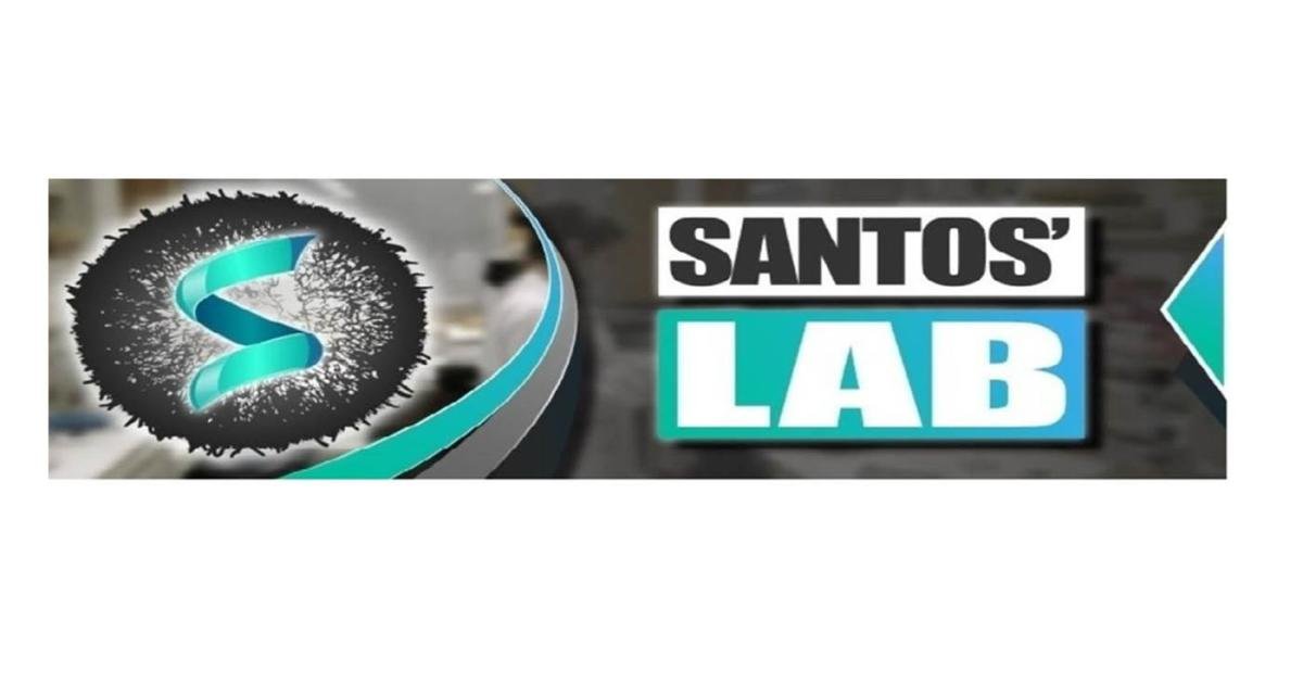 Nanomedicines and Biomedical Engineering | University of Helsinki