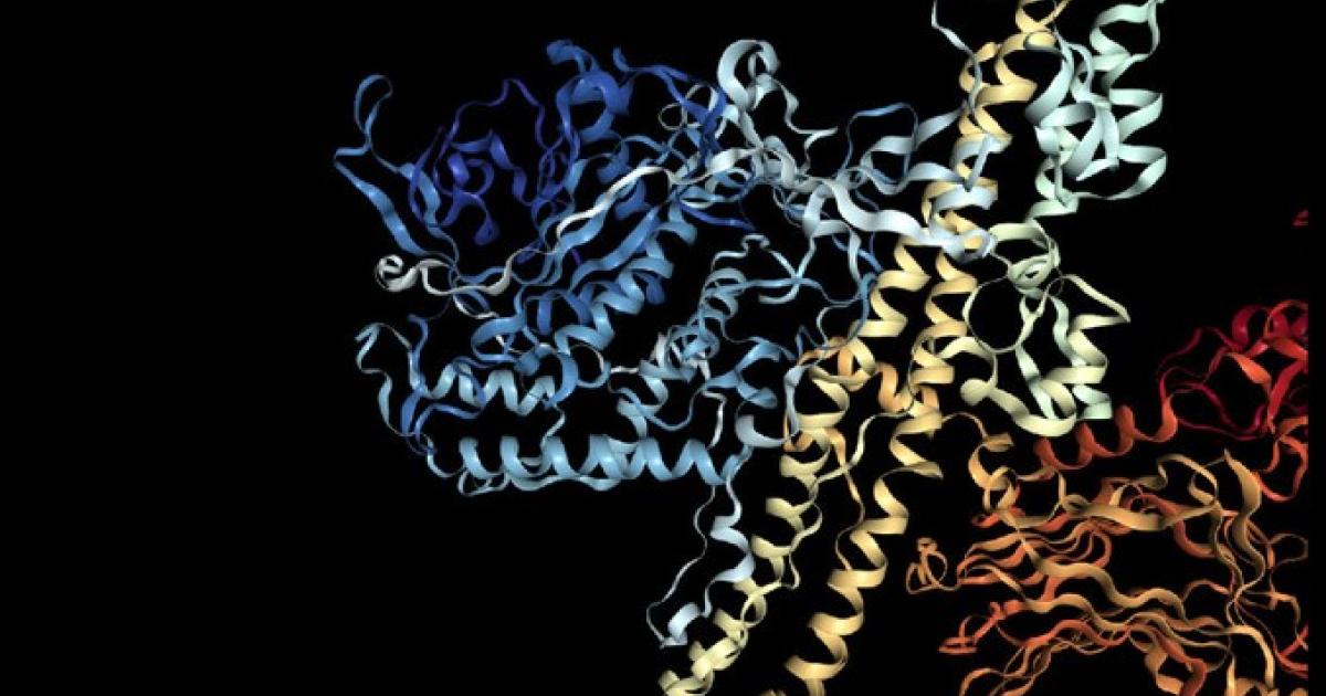 Spore-forming and Cold-tolerant Foodborne Pathogens | University of ...