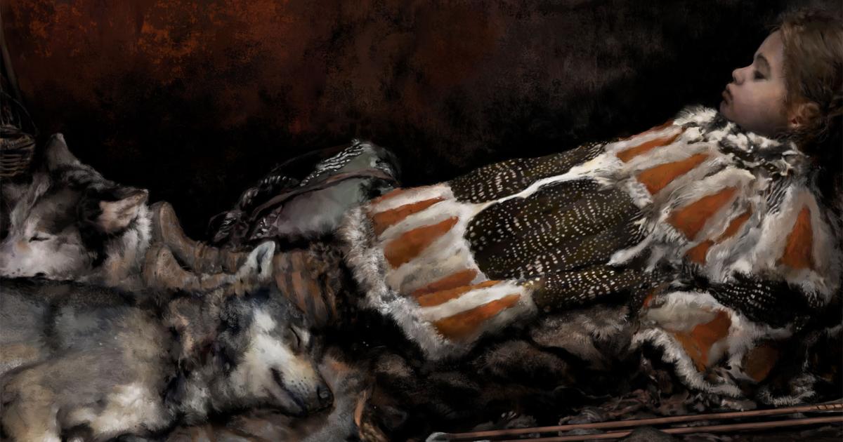 Artefacts made of bird feathers, plant fibres and fur buried with a ...