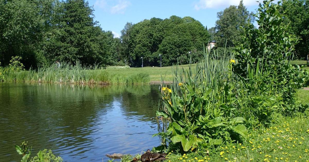 Urban ponds require attention to ensure biodiversity | University of ...