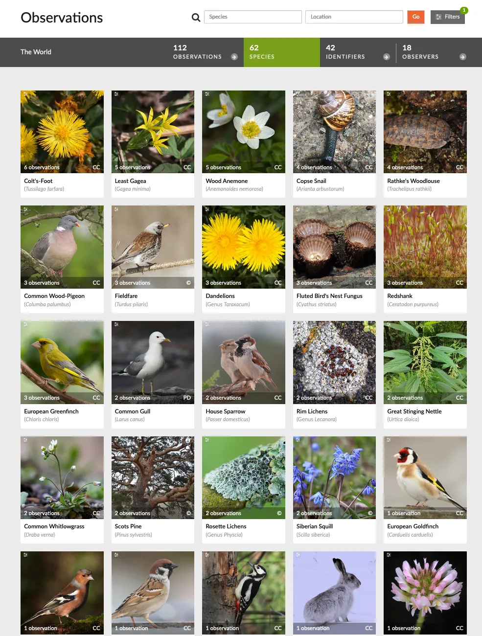 Campus Bioblitz | Insect Symbiosis Ecology and Evolution | University ...